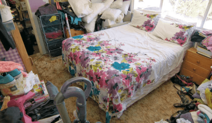 How to get rid of bed bugs at home - BUTLER Housekeeping