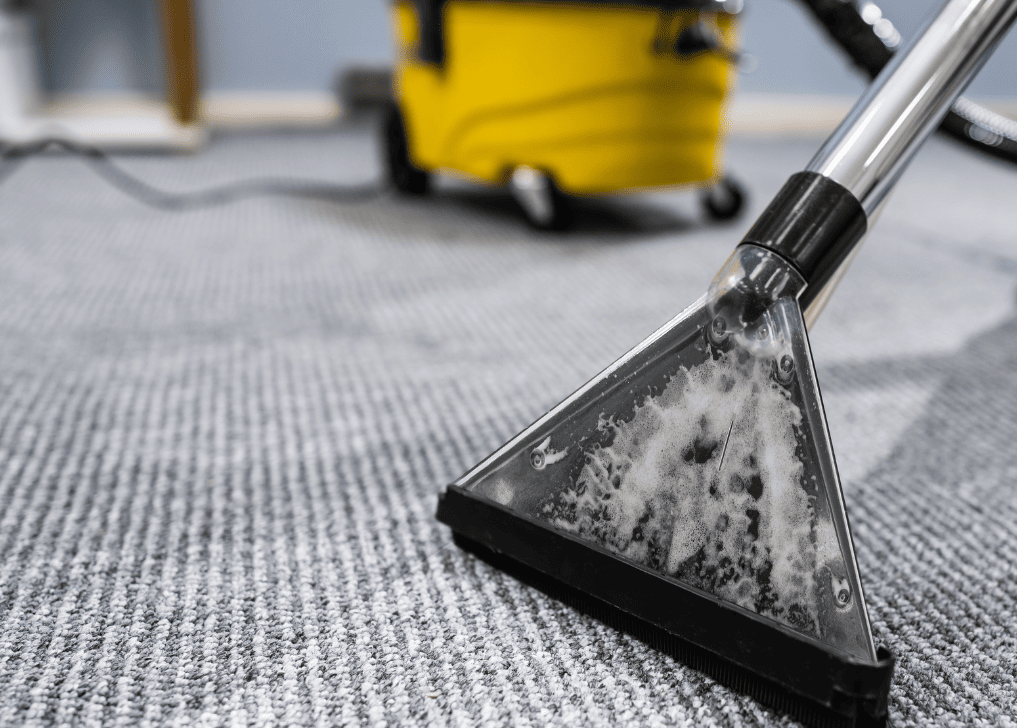 BUTLER Housekeeping Services: Elevating the Standard of Excellence in ...